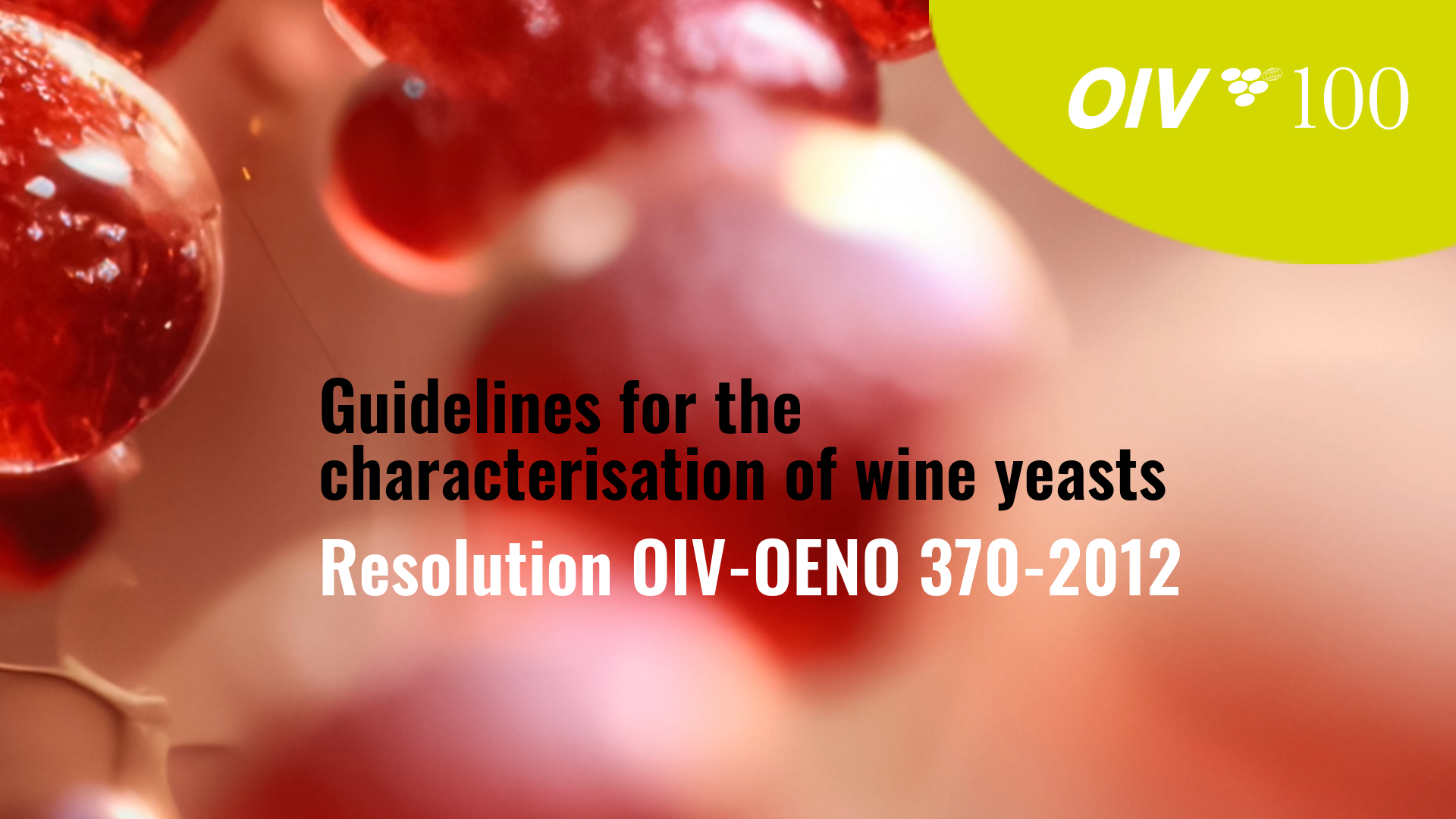 12 months, 12 resolutions: Guidelines for the characterisation of wine yeasts | OIV